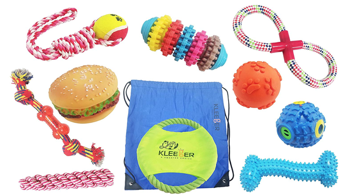 9 Awesome Indoor Gifts To Keep Your Pup Busy In Winter - DogTime