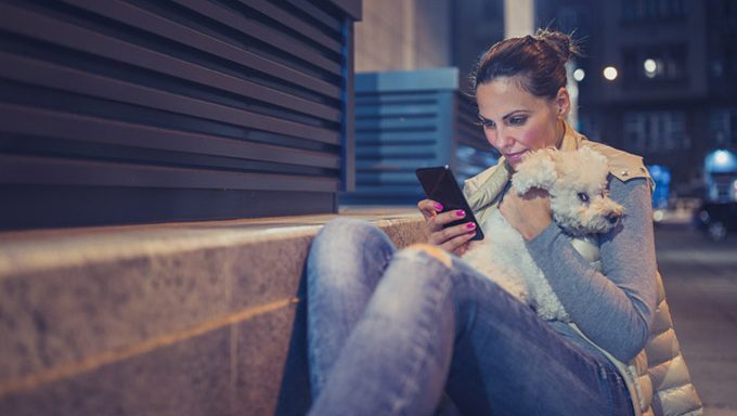 Let's Talk Safety Tips For Walking Your Dog At Night - DogTime