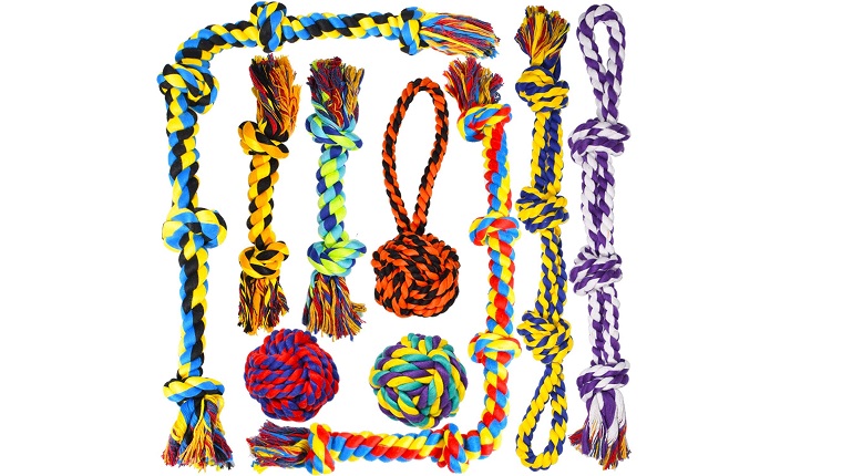 9 Of The Best Durable Dog Toys That Last A Long Time - DogTime