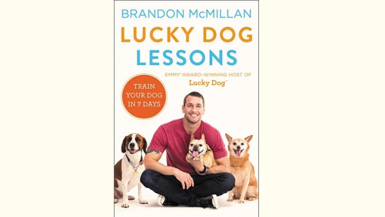 10 Top Rated, Classic Dog Training Books - DogTime
