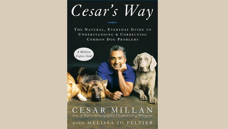10 Top Rated, Classic Dog Training Books - DogTime