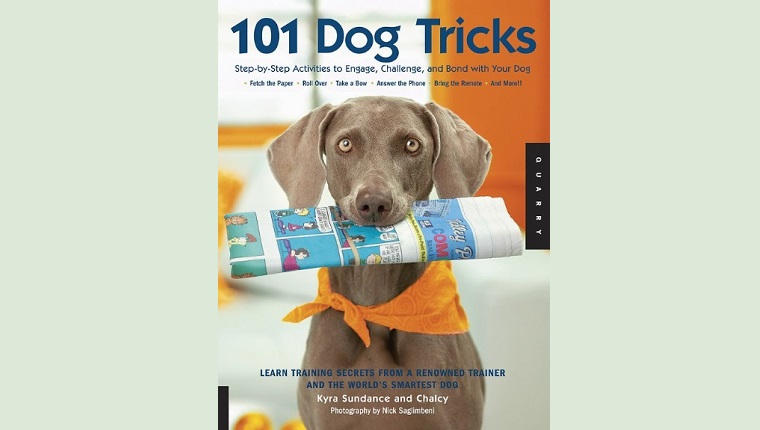 10 Top Rated, Classic Dog Training Books - DogTime