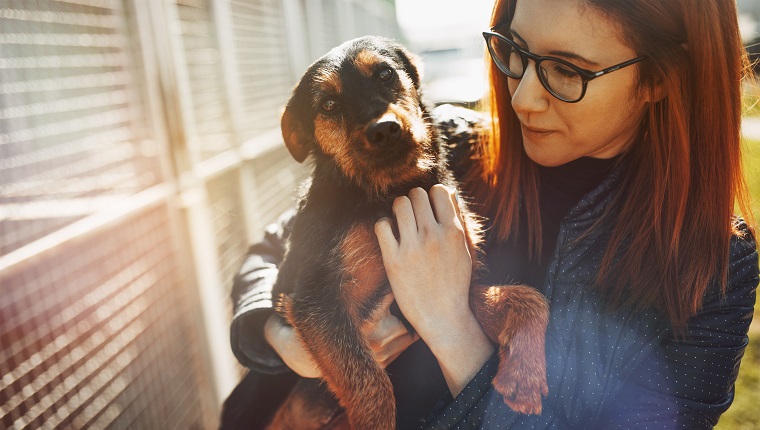 Change A Pet's Life Day: 8 Ways To Change A Dog's Life On January 24th ...