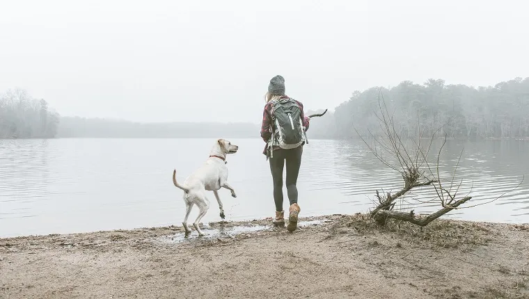 Why You Should NOT Jump Into Icy Waters To Save Your Dog - DogTime