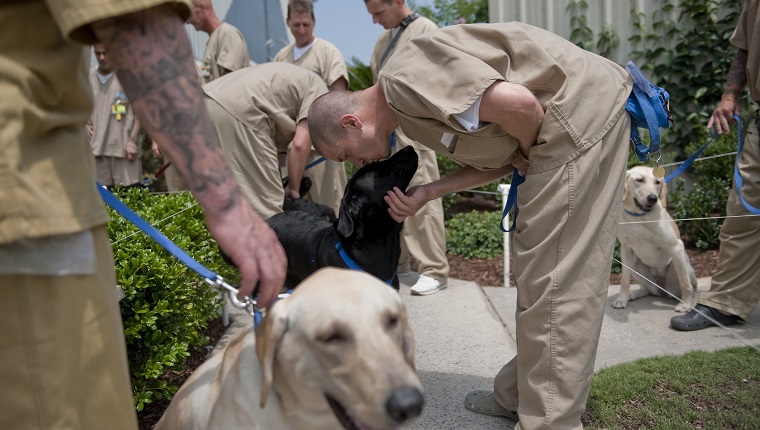 Custody Canine Program rehabilitates dogs and prisoners - DogTime