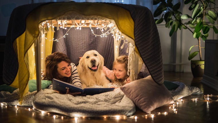 8 Cool Dog Hangout Spaces That You Can Make For Your Pup - DogTime