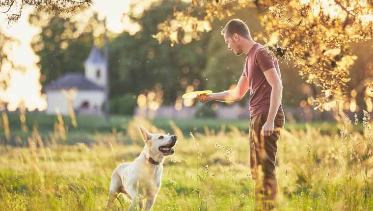 Don't Skip Playtime: Here Are 5 Benefits Of Playing With Your Dog - DogTime