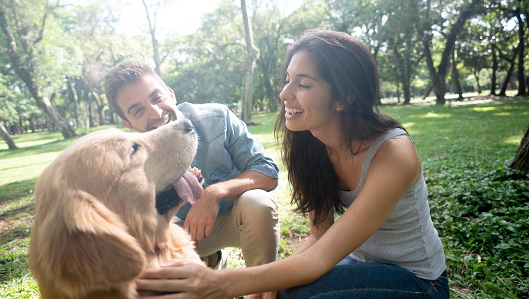 Don't Skip Playtime: Here Are 5 Benefits Of Playing With Your Dog - DogTime