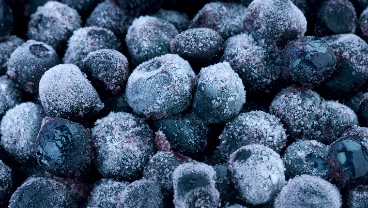 National Blueberry Month: 6 Yummy Ways To Feed Blueberries To Your Dog ...