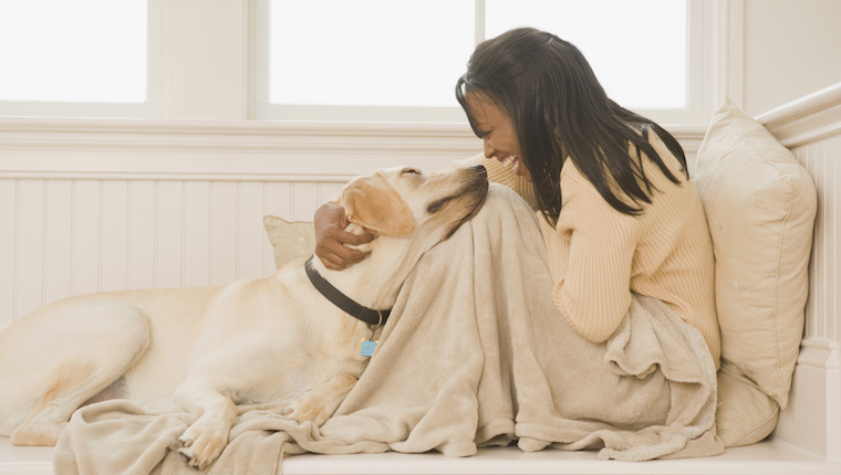 How Can I Get A Dog To Trust Me? - DogTime