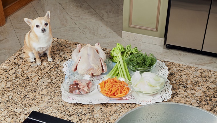 Can Dogs Eat Celery? Is Celery Safe For Dogs? - DogTime