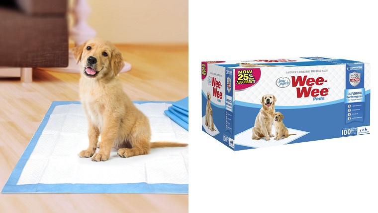 5 Indoor Potty Ideas For When Your Dog Just Can't Go Outside - DogTime