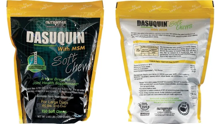 5 Awesome Supplements To Help Your Senior Dog With Arthritis Pain - DogTime