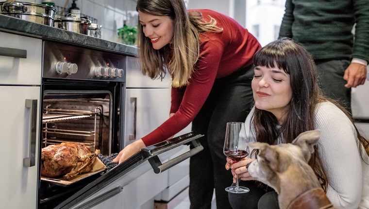 Can Dogs Eat Goose? Is Goose Safe For Dogs? - DogTime