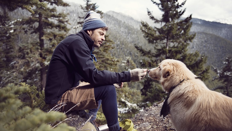 How To - Page 17 of 27 - DogTime