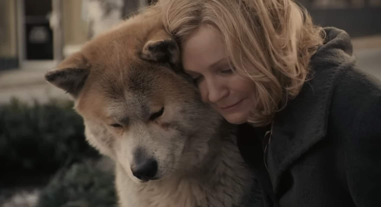 Sad Dog Movies That Make You Cry but Are Worth Watching