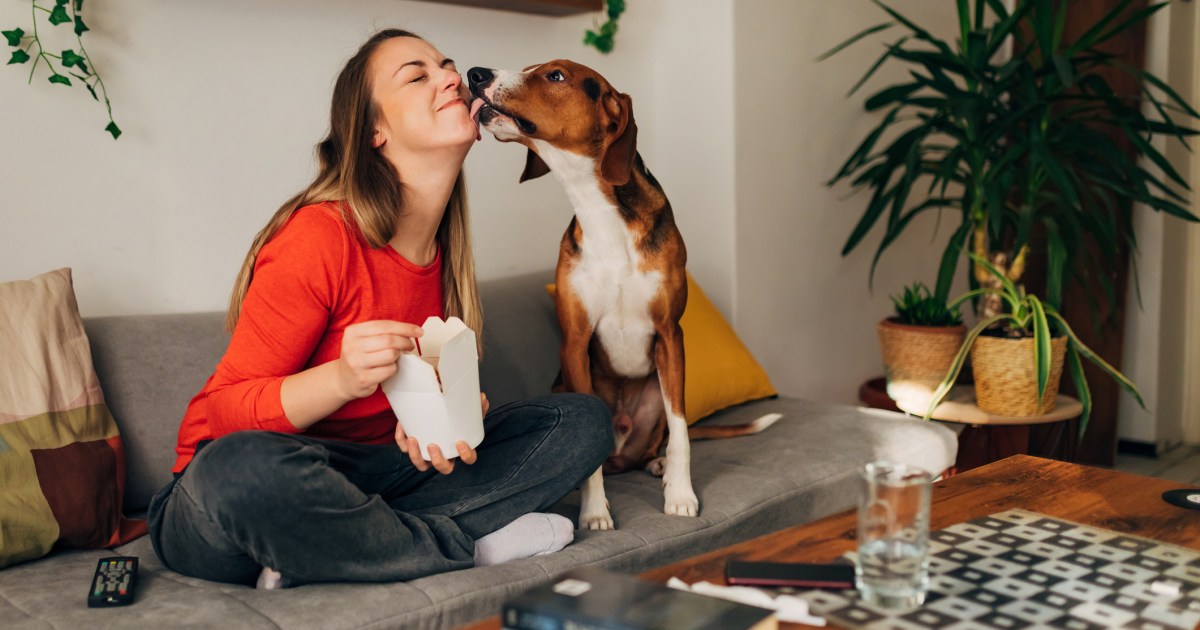 5 Positive Stereotypes About Dog People That Are Totally True