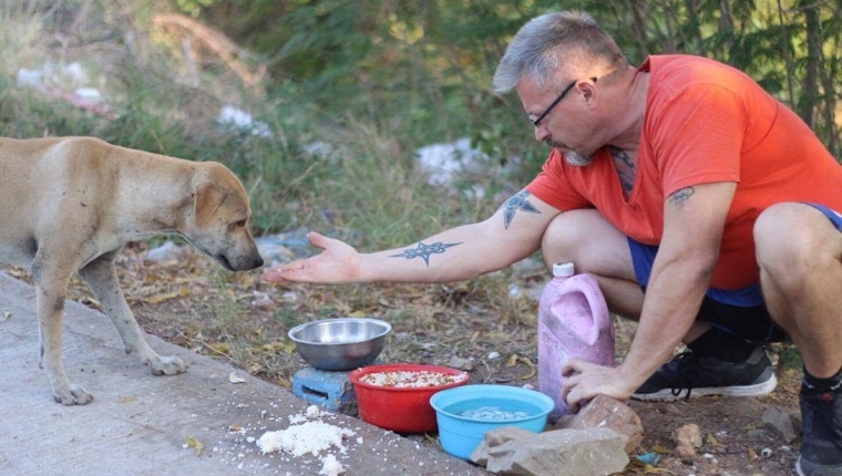Caring For 950 Dogs In Thailand: Meet 'The Man That Rescues Dogs' - DogTime