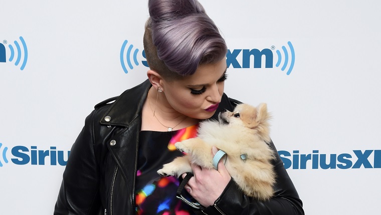 Celeb Pets - Page 8 of 8 - DogTime