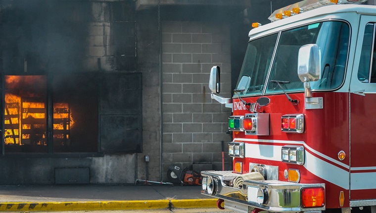 Save A Dog: Iowa Firefighter Adopts Mastiff He Pulled From A Burning ...