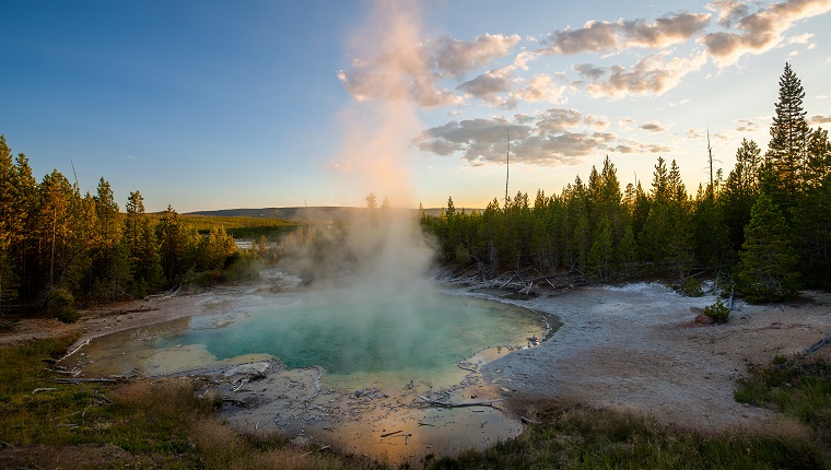Avoidable Tragedy At Yellowstone Hot Spring Leaves Dog Dead, Young ...