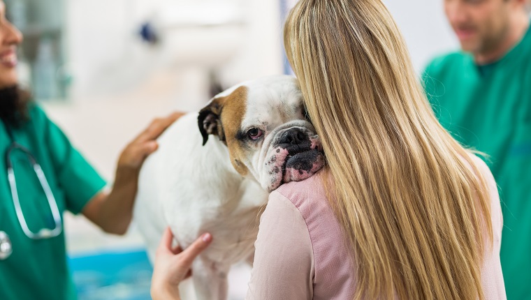 Osteomyelitis (Bone Infection) In Dogs: Symptoms, Causes, & Treatments ...