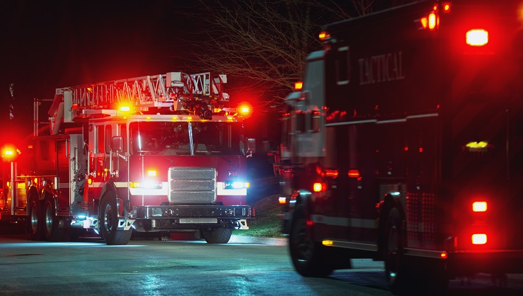Abused Pit Bull Rescued From Crack House Becomes Firehouse Dog For FDNY ...