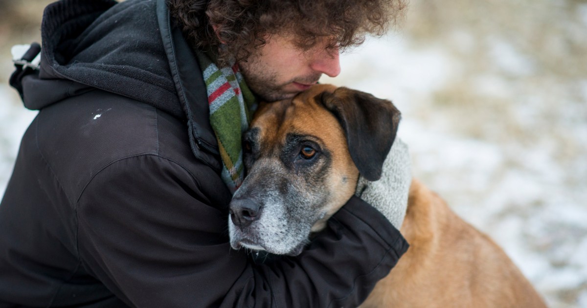 How to Know When It's Time to Say Goodbye to Your Dog