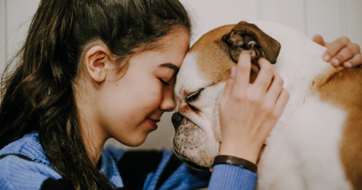 5 Ways to Show Your Dog Love That They Can Understand