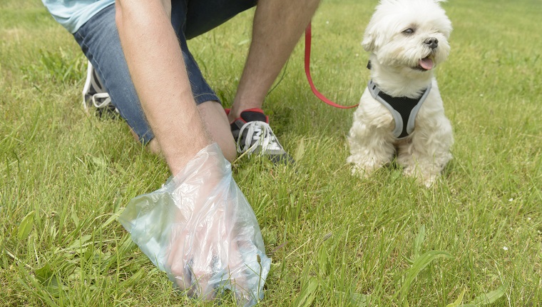 How To Make Sure You & Your Dog Are Good Neighbors - DogTime
