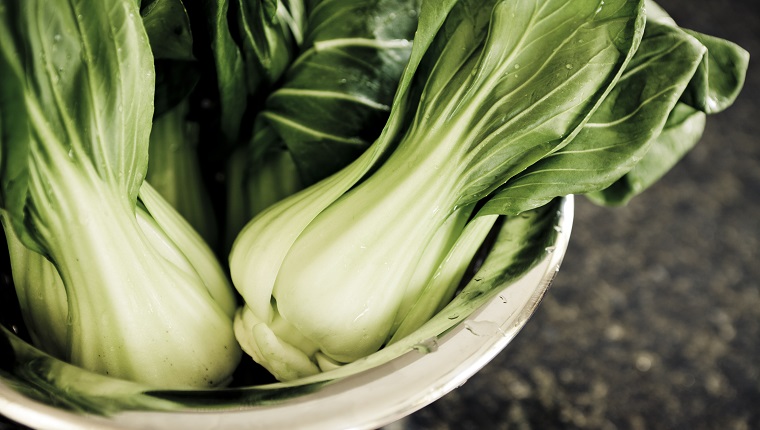 Can Dogs Eat Bok Choy? Is Bok Choy Safe For Dogs? - DogTime