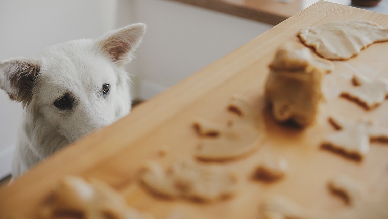 Can Dogs Eat Cookies? Are Cookies Safe For Dogs? - DogTime