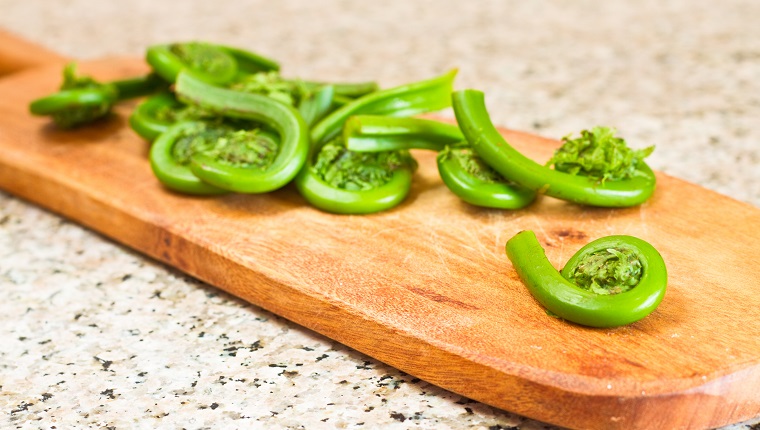 Can Dogs Eat Fiddlehead Ferns? Are Fiddlehead Ferns Safe For Dogs ...