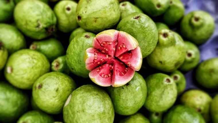 Can Dogs Eat Guava? Is Guava Safe For Dogs? - DogTime