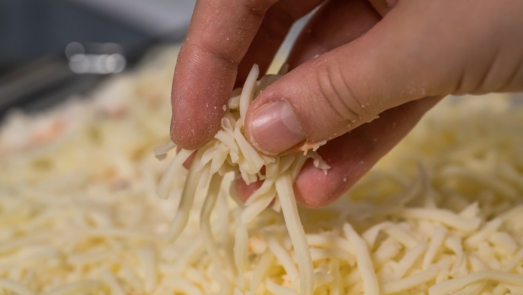 Can Dogs Eat Mozzarella Cheese? Is Mozzarella Cheese Safe For Dogs ...
