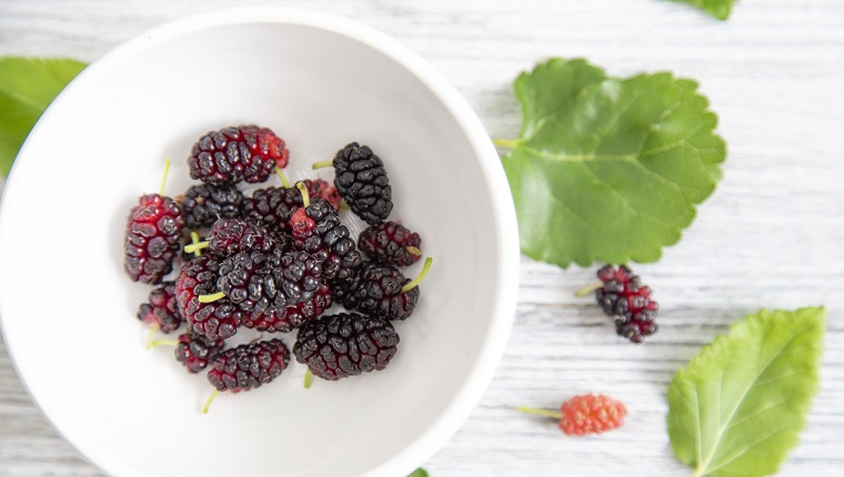 Can Dogs Eat Mulberries? Are Mulberries Safe For Dogs? - DogTime