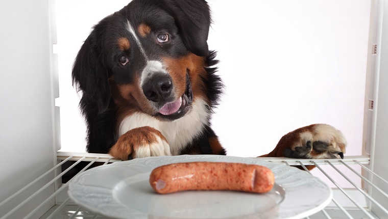 Can Dogs Eat Sausage? Is Sausage Safe For Dogs? - DogTime