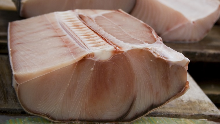 Can Dogs Eat Shark Meat? Is Shark Meat Safe For Dogs? - DogTime