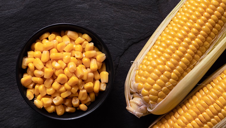 Can Dogs Eat Sweetcorn? Is Sweetcorn Safe For Dogs? - DogTime