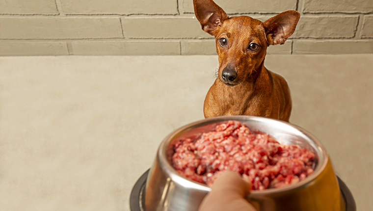 Can Dogs Eat Beef? Is Beef Safe For Dogs? - DogTime