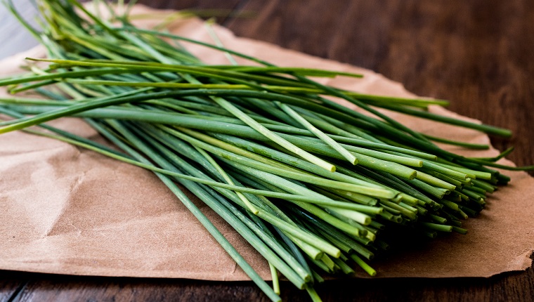 Can Dogs Eat Chives? Are Chives Safe For Dogs? - DogTime