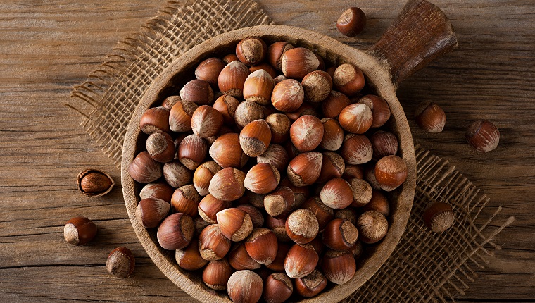 Can Dogs Eat Hazelnuts? Are Hazelnuts Safe For Dogs? - DogTime