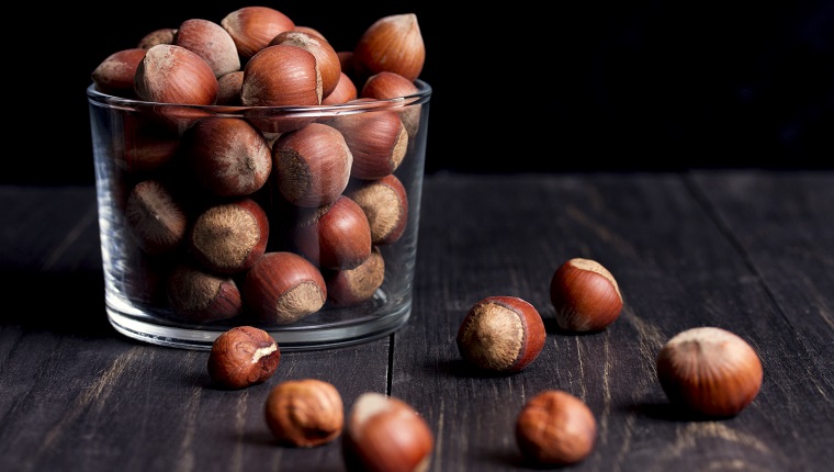 Can Dogs Eat Hazelnuts? Are Hazelnuts Safe For Dogs? - DogTime