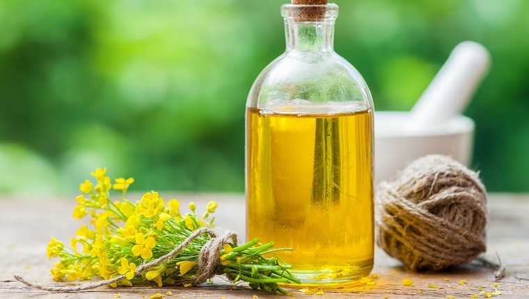 Can Dogs Have Canola Oil? Is Canola Oil Safe For Dogs? - DogTime