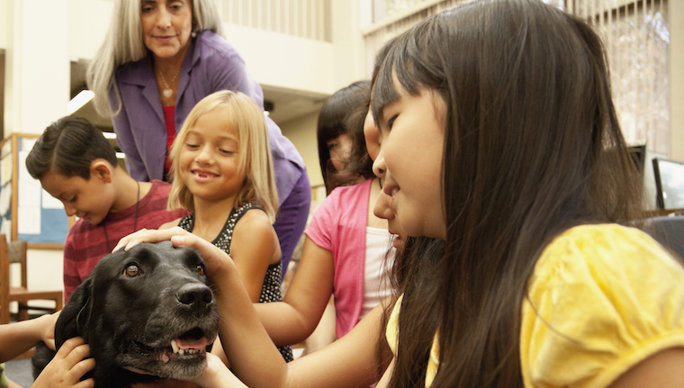 Study Finds Dogs Lower Stress in Children, Promotes Dogs in Classrooms
