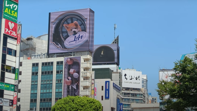 Massive 3D Akita Projected Over Tokyo Streets, Homage to Hachiko
