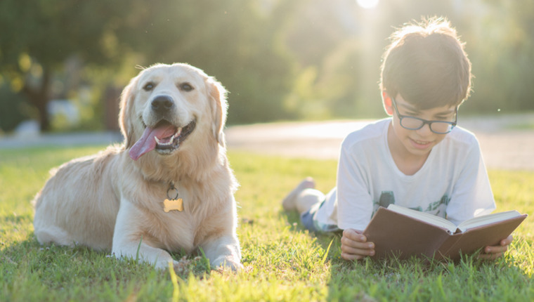 Reading to Dogs Could Help Children Learn - DogTime