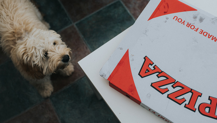 An Italian Restaurant is Using Pizza to Get Dogs Adopted - DogTime