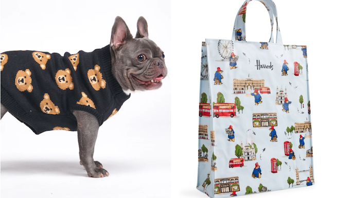 Matching Dog Clothes: Five Fall Outfit Ideas for You and Your Dog