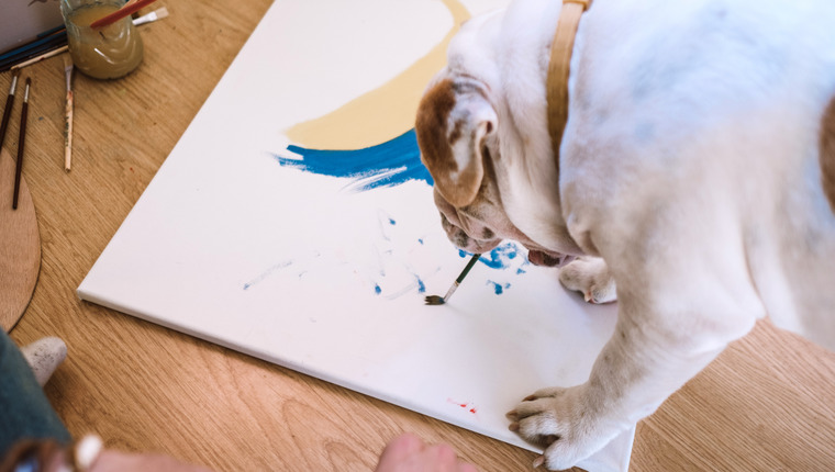 A Rescue Shelter Gets Creative With Dog Paintings - DogTime